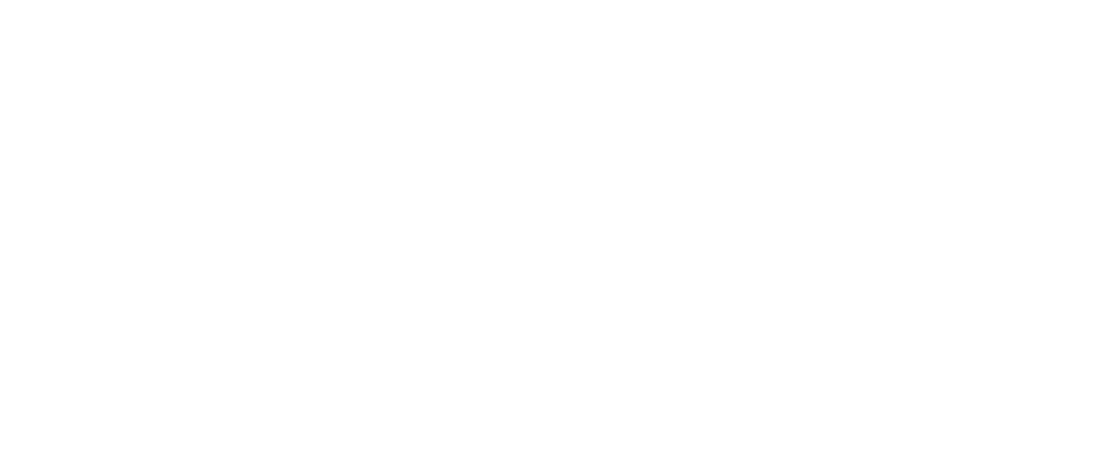 NIMBUS Probe - Stratus Medical
